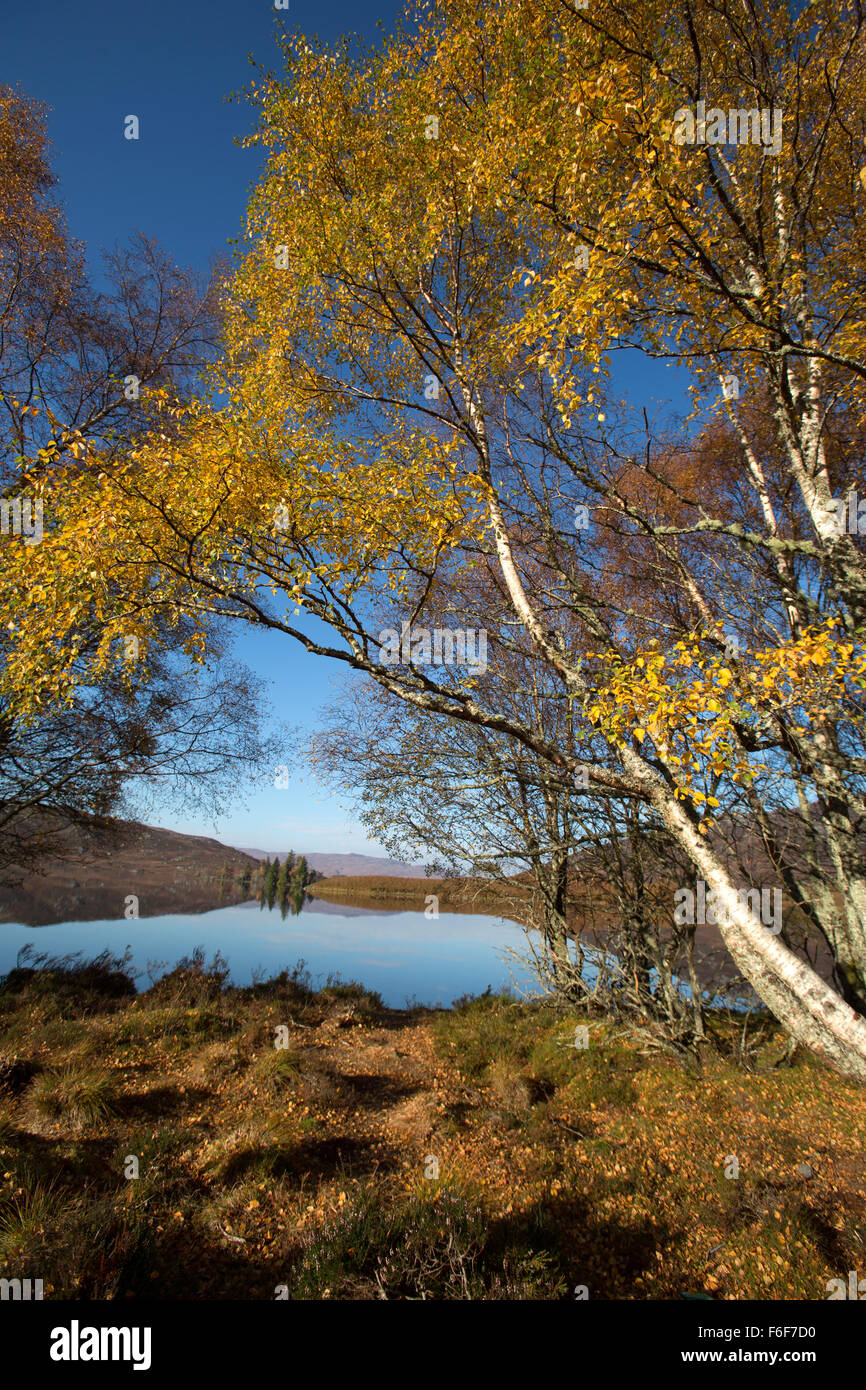 Area of Loch Ness, Scotland. Picturesque autumnal view of Loch Tarff ...