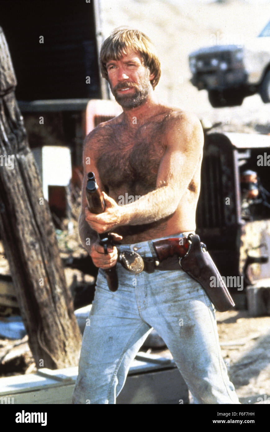 RELEASE DATE: April 15, 1983 MOVIE TITLE: Lone Wolf McQuade DIRECTOR ...