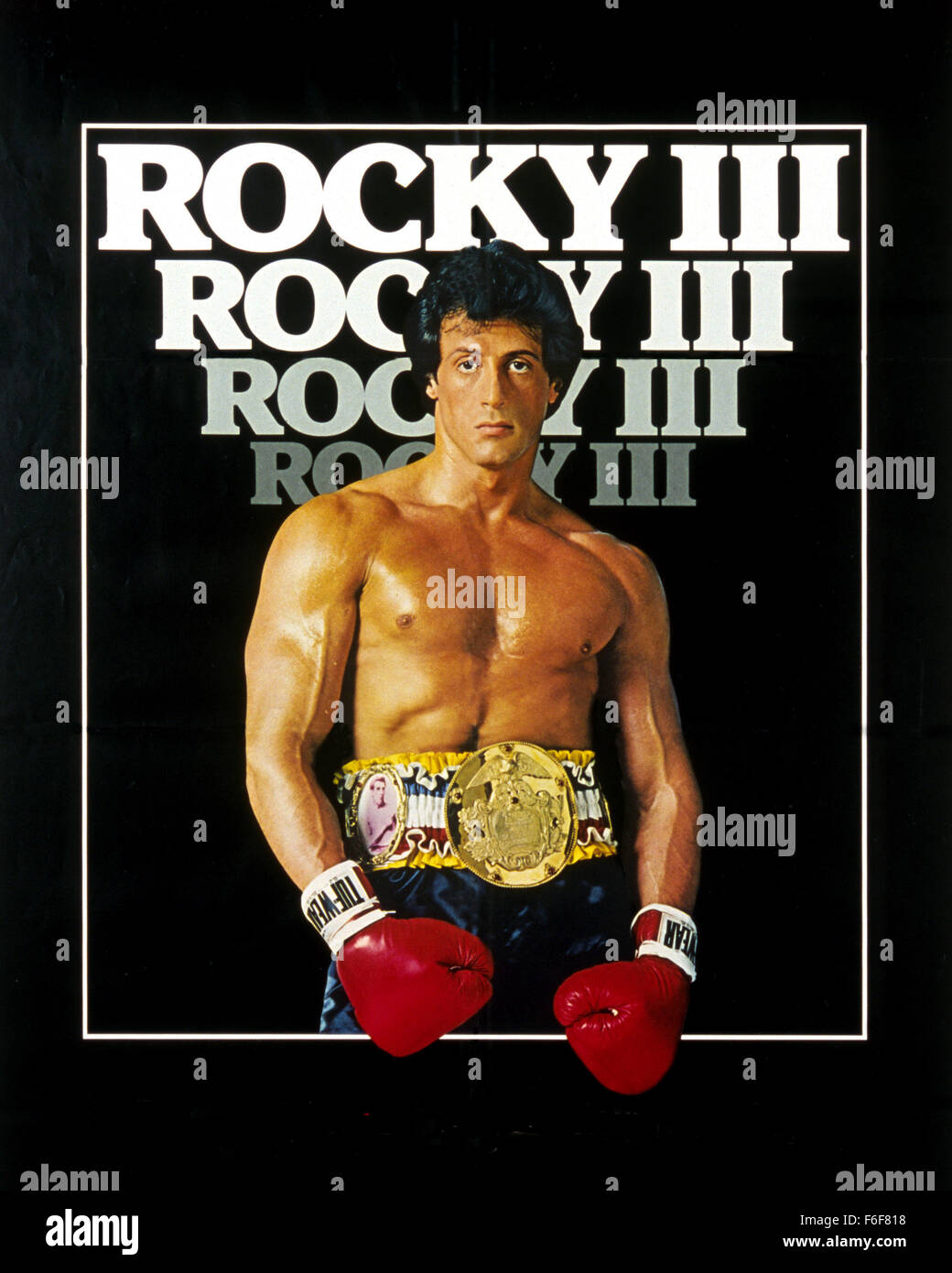 Boxer Fighter Rocky