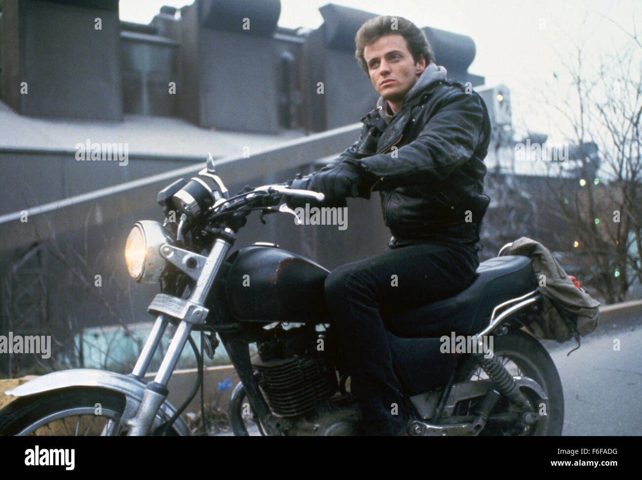 RELEASE DATE: February 3, 1984 MOVIE TITLE: Reckless DIRECTOR: James ...