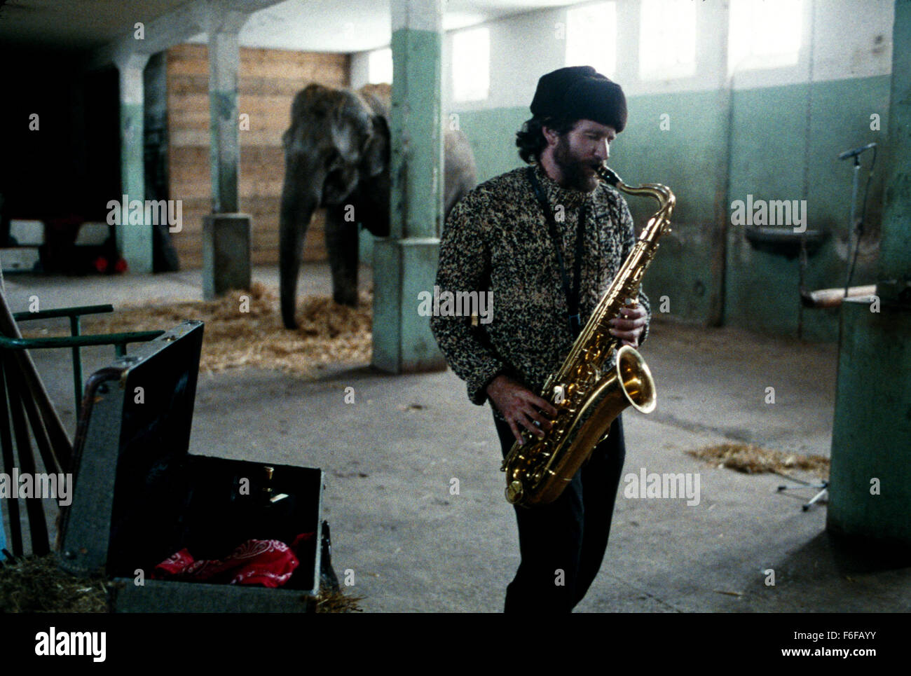 Vladimir ivanoff hi-res stock photography and images - Alamy