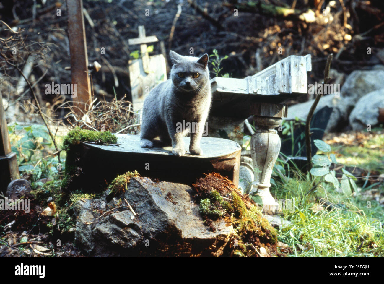 RELEASE DATE: April 21, 1989. MOVIE TITLE: Pet Sematary. STUDIO ...