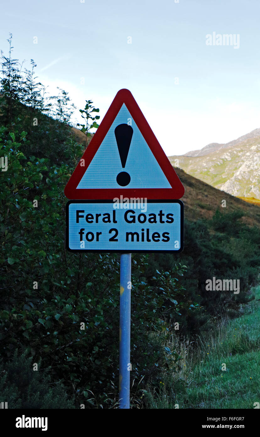 Aware 2 hi-res stock photography and images - Alamy