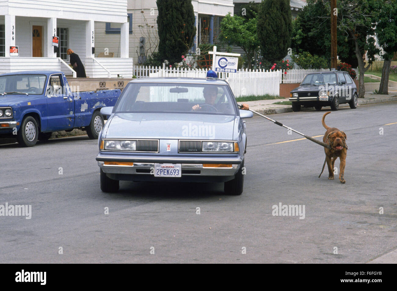 Jul 18, 1989; Los Angeles, CA, USA;Actor TOM HANKS stars as Det Scott Turner and Beasly the Dog ...