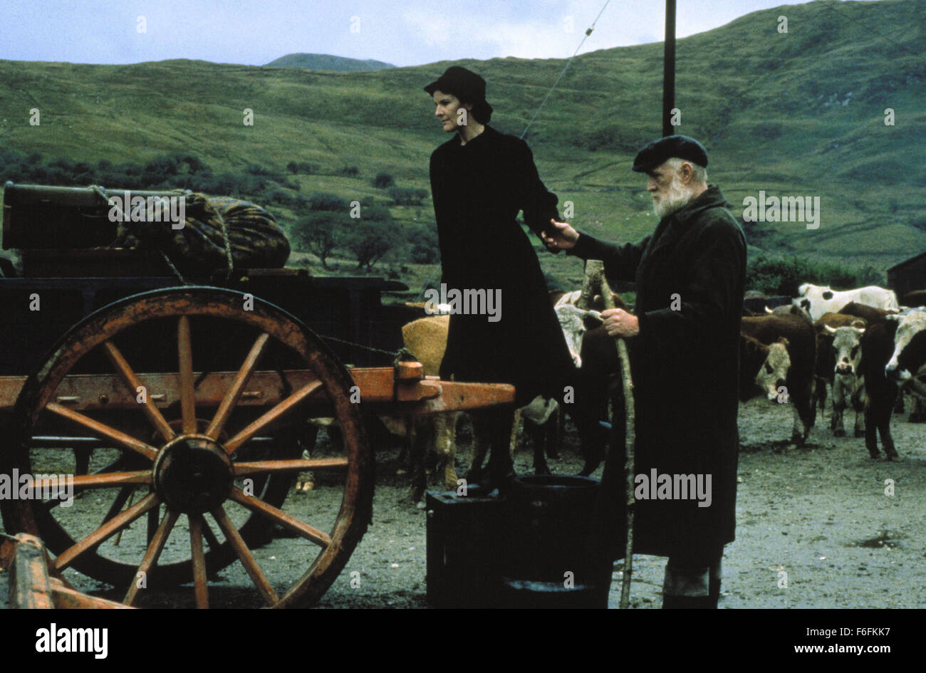 RELEASE DATE: December 20, 1990 MOVIE TITLE: The Field STUDIO: Avenue ...