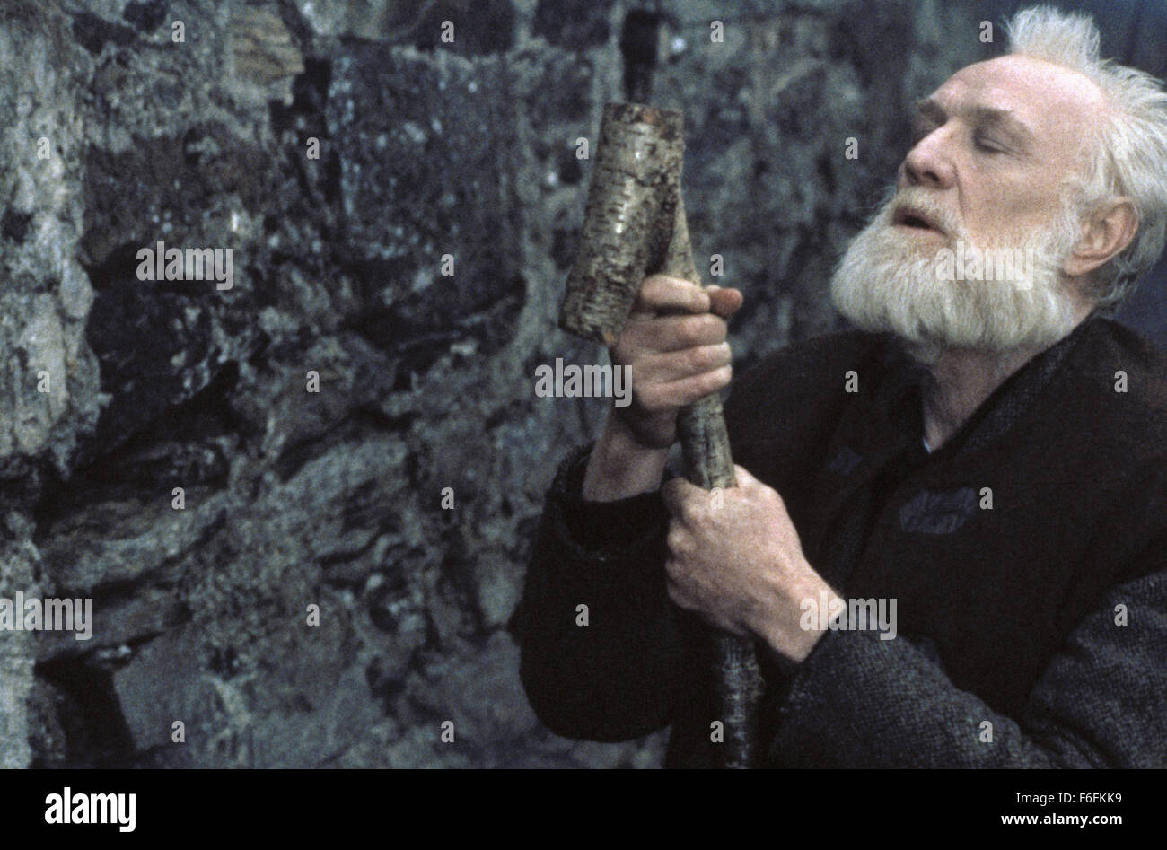 RELEASE DATE: December 20, 1990 MOVIE TITLE: The Field STUDIO: Avenue ...