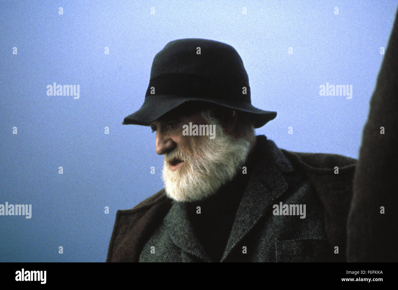 RELEASE DATE: December 20, 1990 MOVIE TITLE: The Field STUDIO: Avenue ...