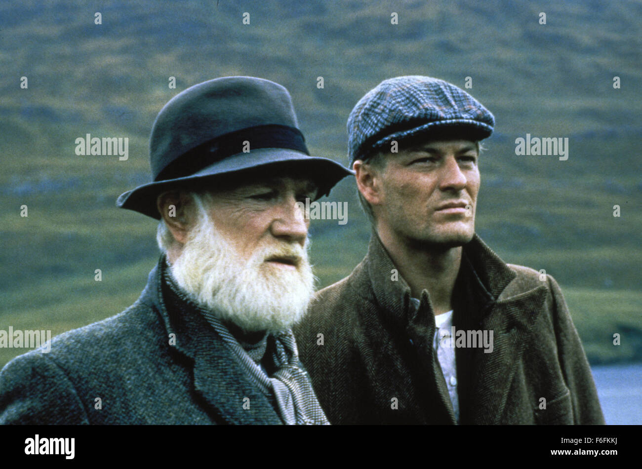 RELEASE DATE: December 20, 1990 MOVIE TITLE: The Field STUDIO: Avenue ...