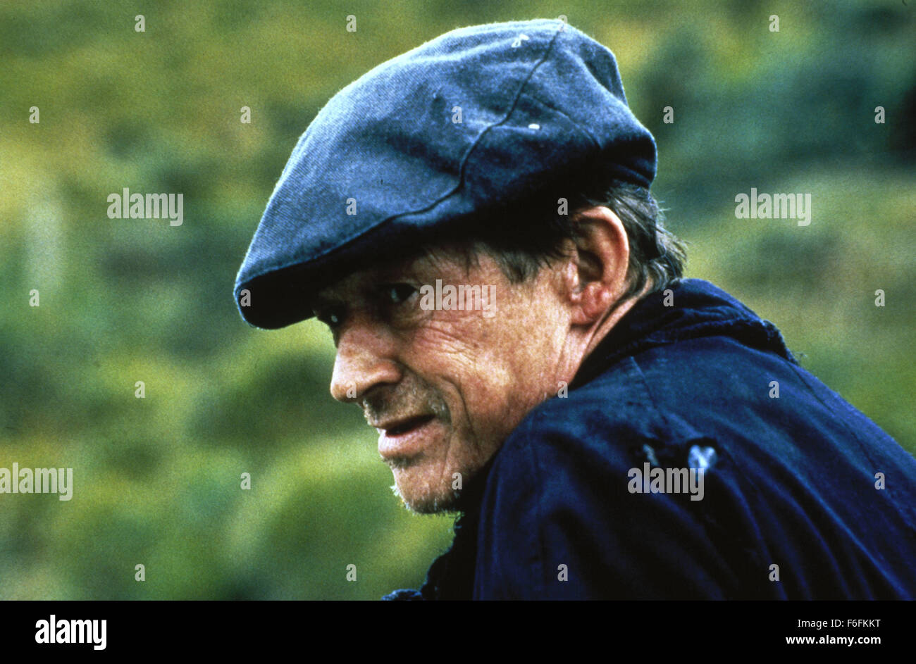 RELEASE DATE: December 20, 1990 MOVIE TITLE: The Field STUDIO: Avenue ...