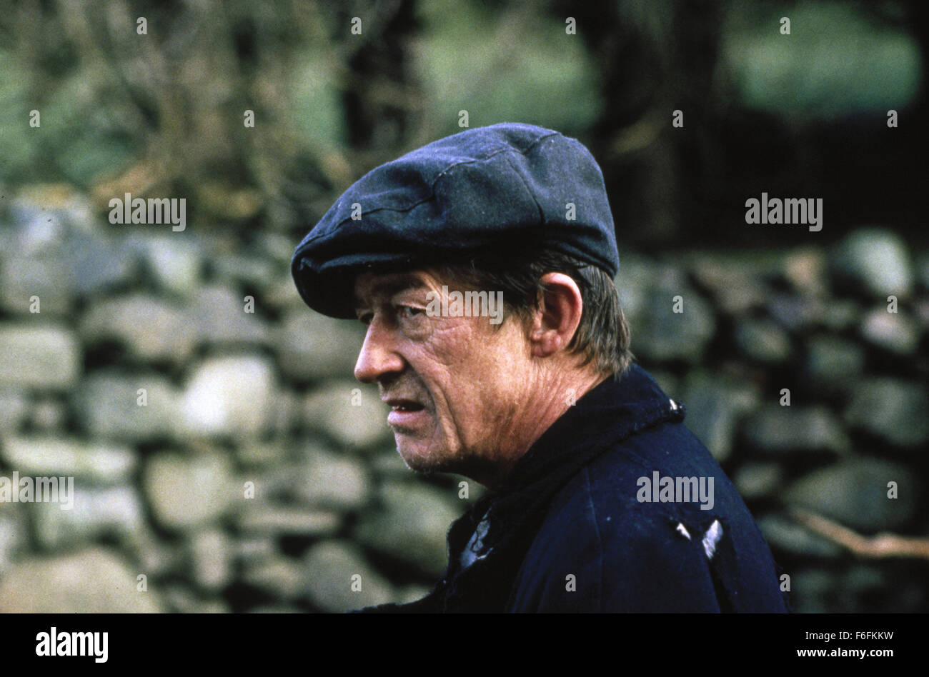 RELEASE DATE: December 20, 1990 MOVIE TITLE: The Field STUDIO: Avenue ...