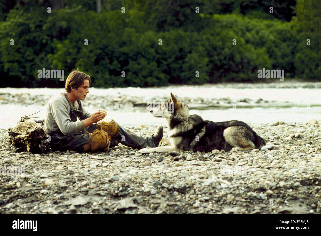 RELEASE DATE: January 18, 1991. MOVIE TITLE: White Fang. STUDIO ...
