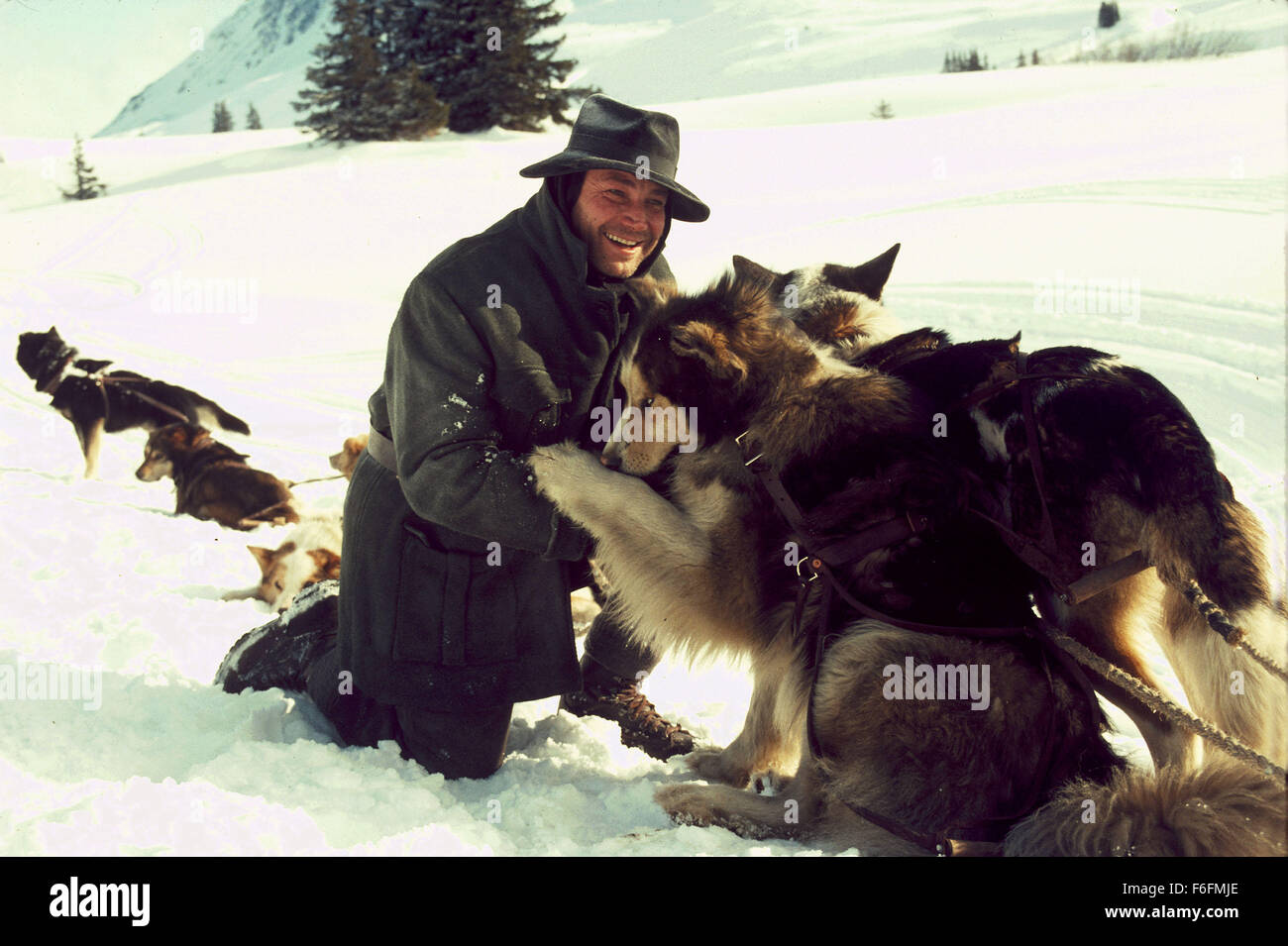 RELEASE DATE: January 18, 1991. MOVIE TITLE: White Fang. STUDIO ...