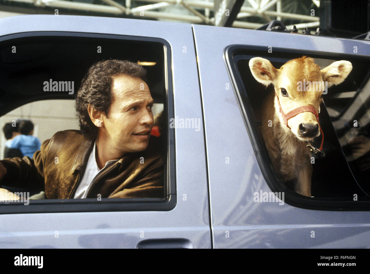 RELEASE DATE: June 7, 1991. MOVIE TITLE: City Slickers. STUDIO: Sultan ...
