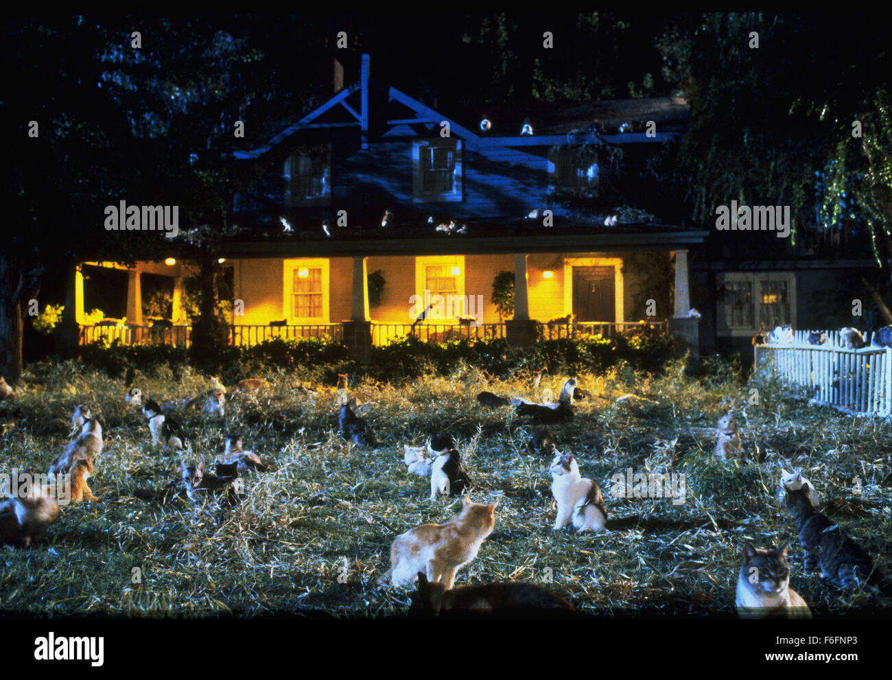 RELEASE DATE: April 10, 1992. MOVIE TITLE: Sleepwalkers. STUDIO ...