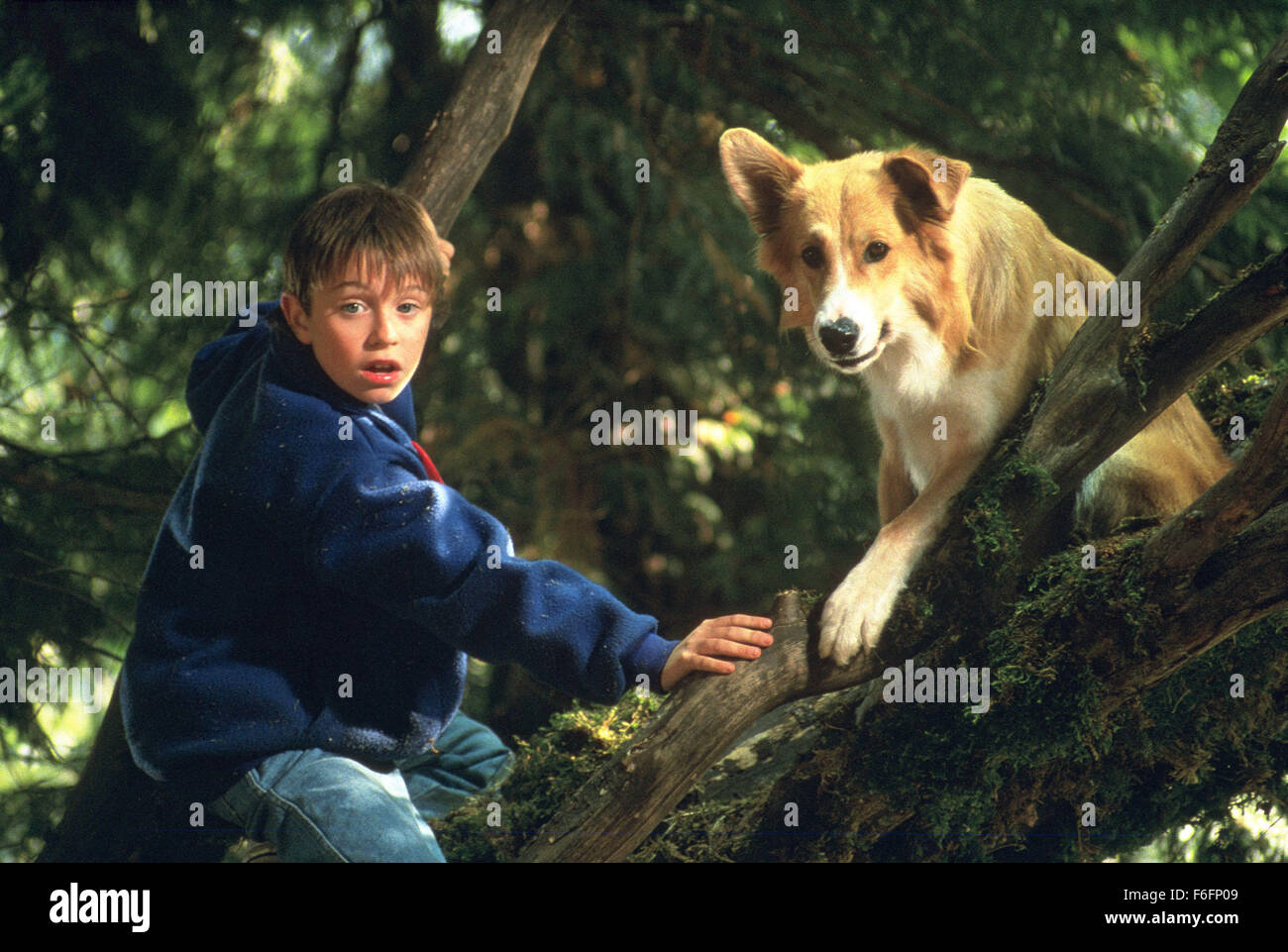 Jul 06, 1991; Hollywood, CA, USA; Actor ROBERT J. STEINMILLER stars as ...