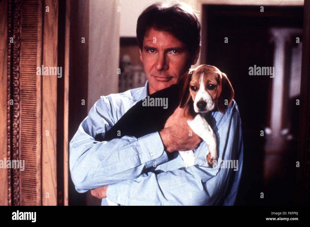 RELEASE DATE: July 10, 1991. MOVIE TITLE: Regarding Henry. STUDIO ...