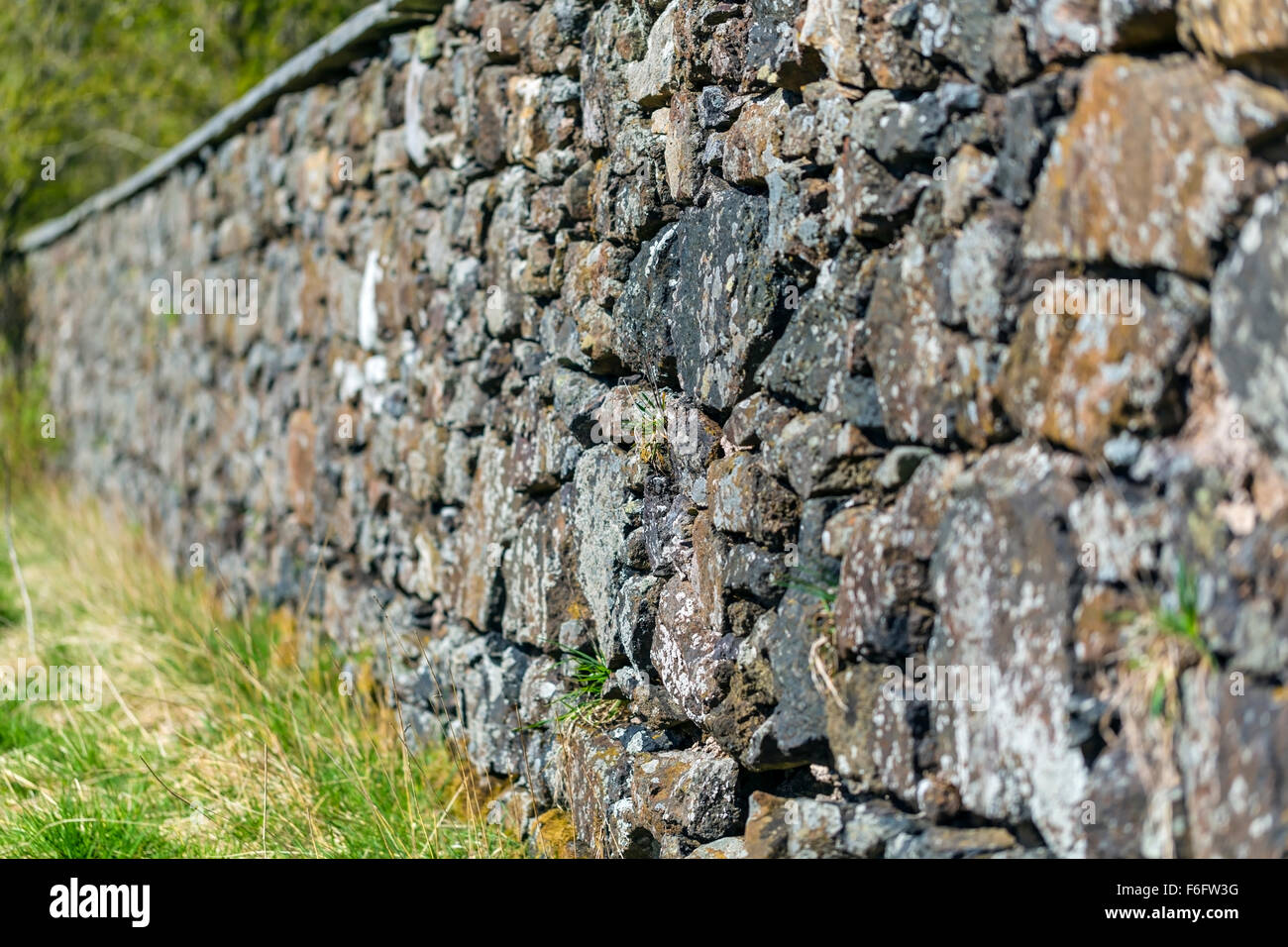 An old stone wall in the UK countryside Stock Photo - Alamy