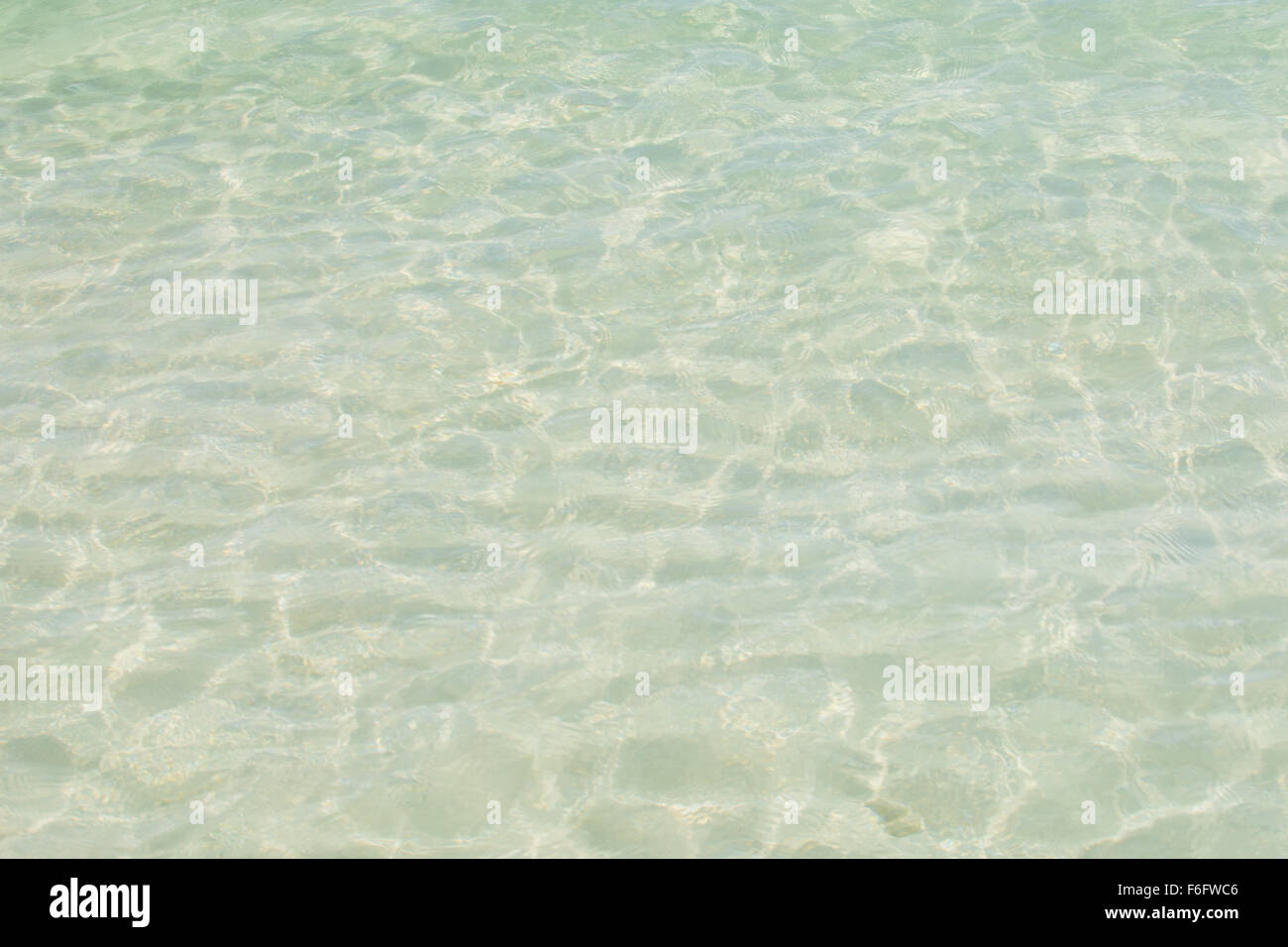 Textures in nature hi-res stock photography and images - Alamy