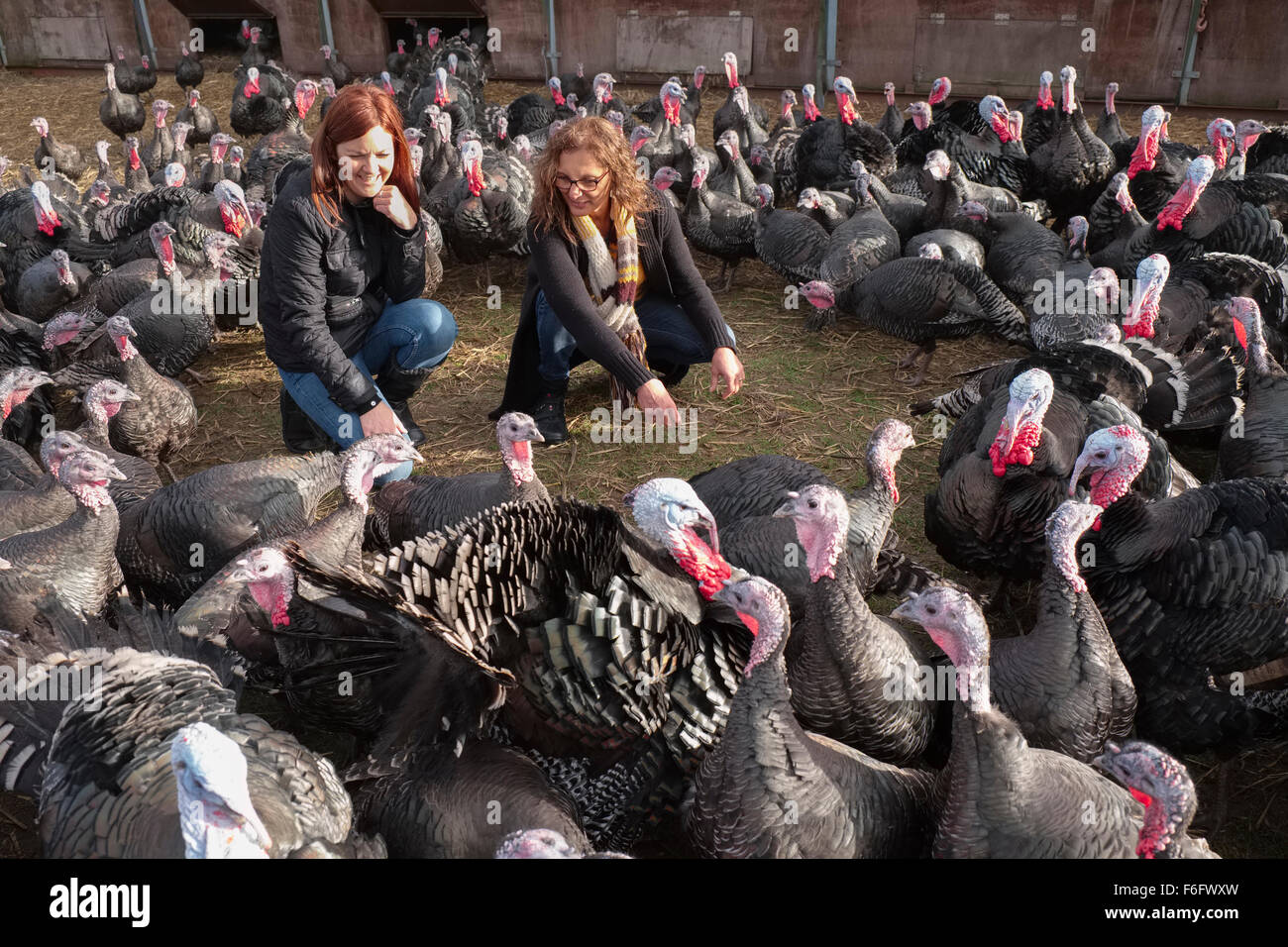 Women with poultry hi-res stock photography and images - Alamy