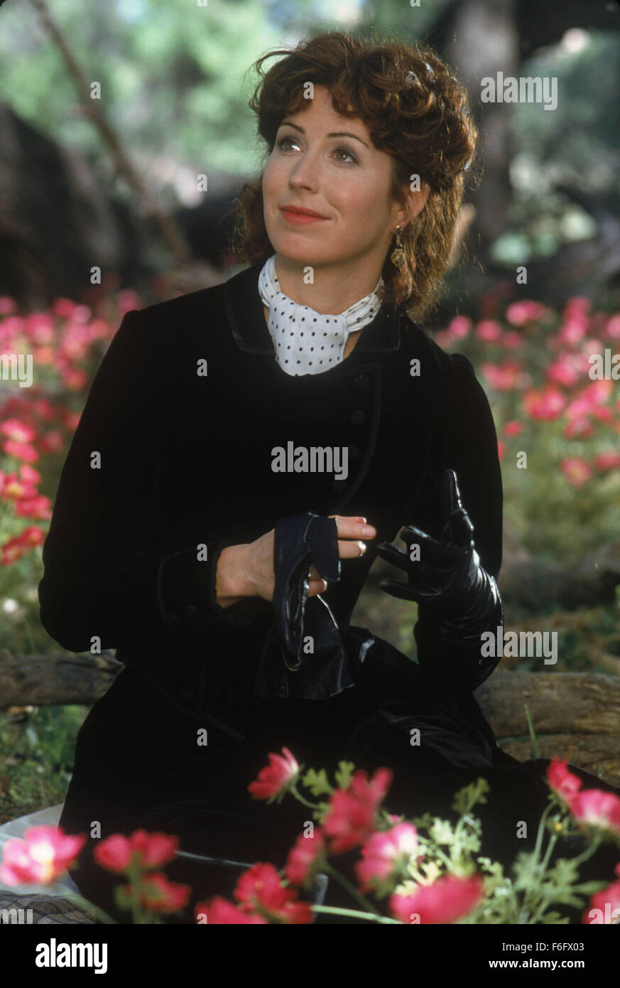 Dana Delaney High Resolution Stock Photography and Images - Alamy