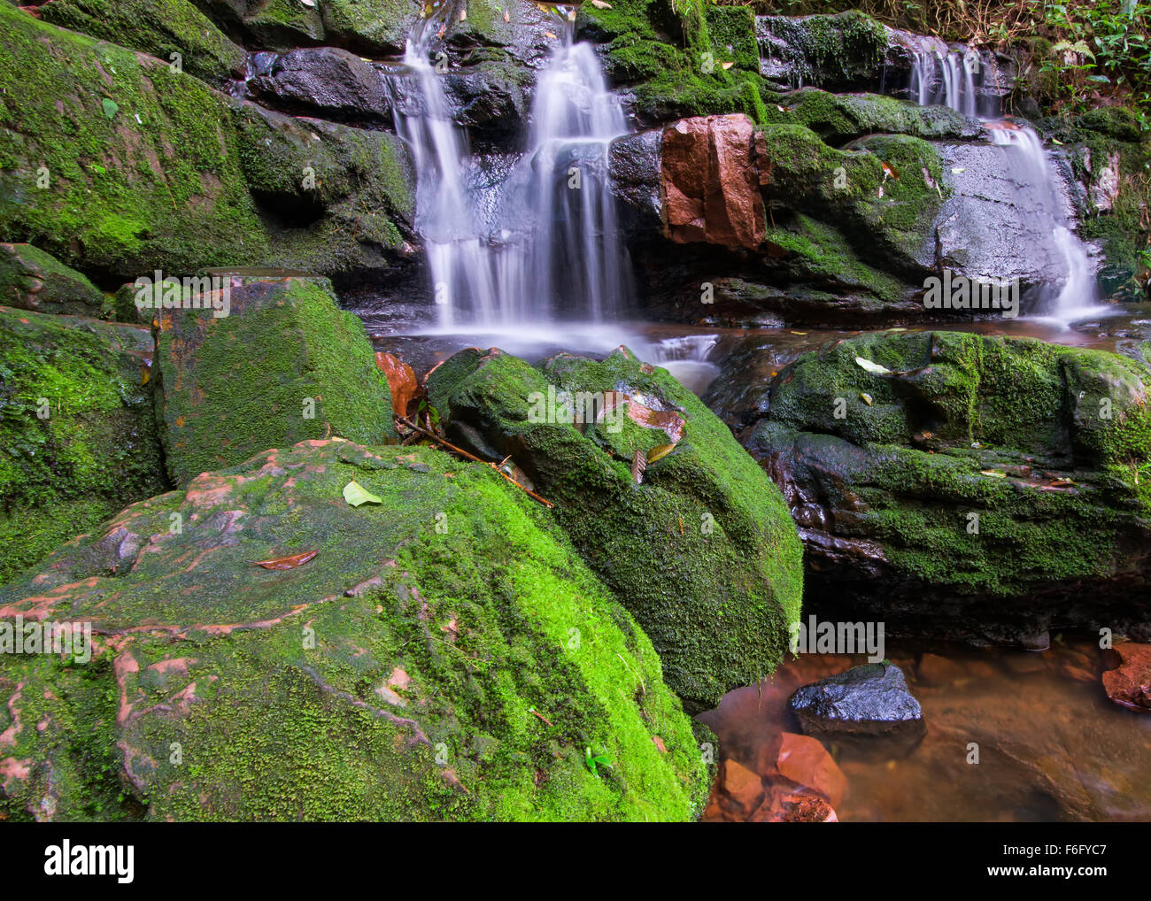 beautiful waterfalls around The Natural forest Stock Photo - Alamy