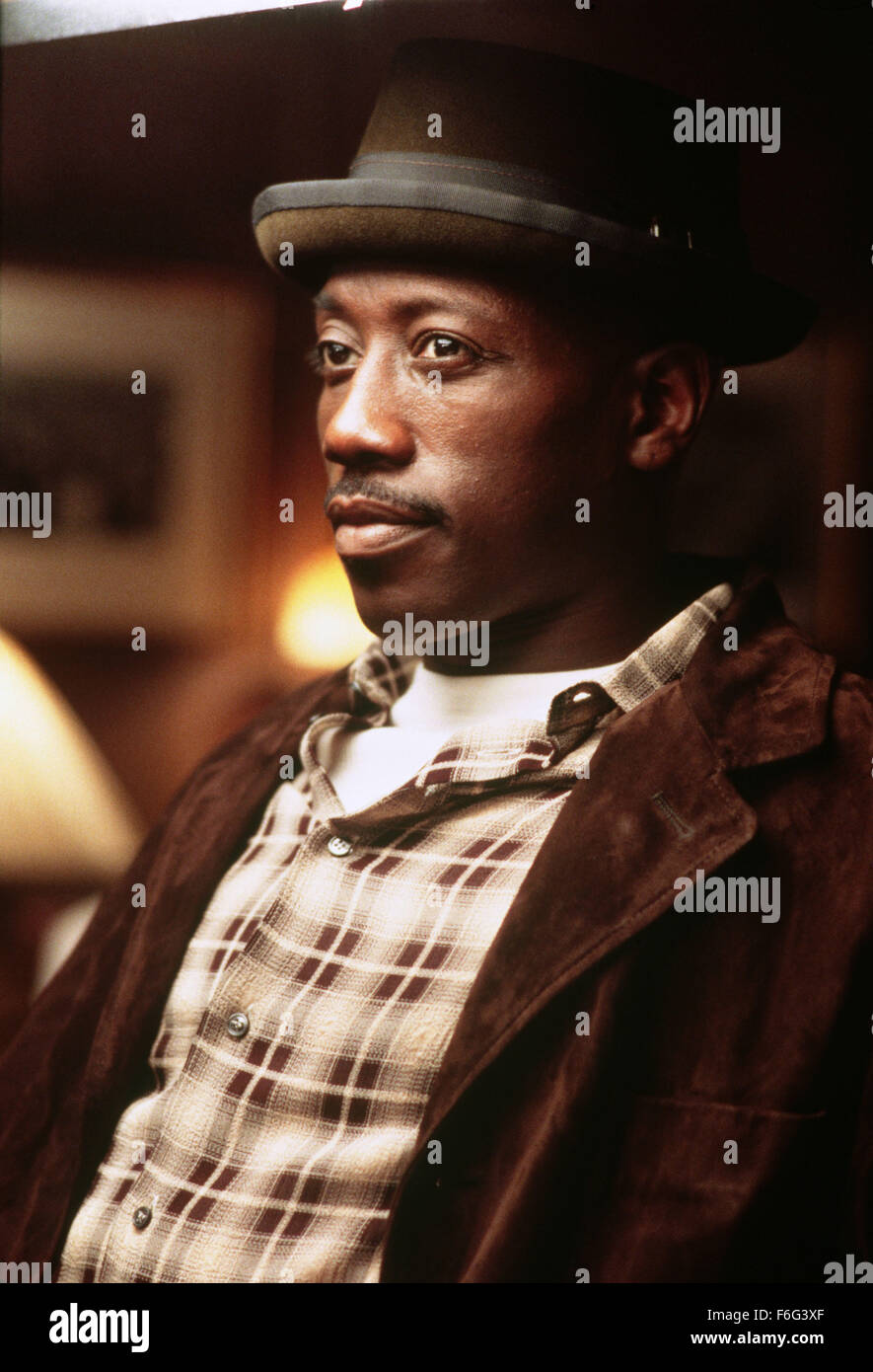 RELEASE DATE: Aug 16, 1996. MOVIE TITLE: The Fan. STUDIO: TriStar ...