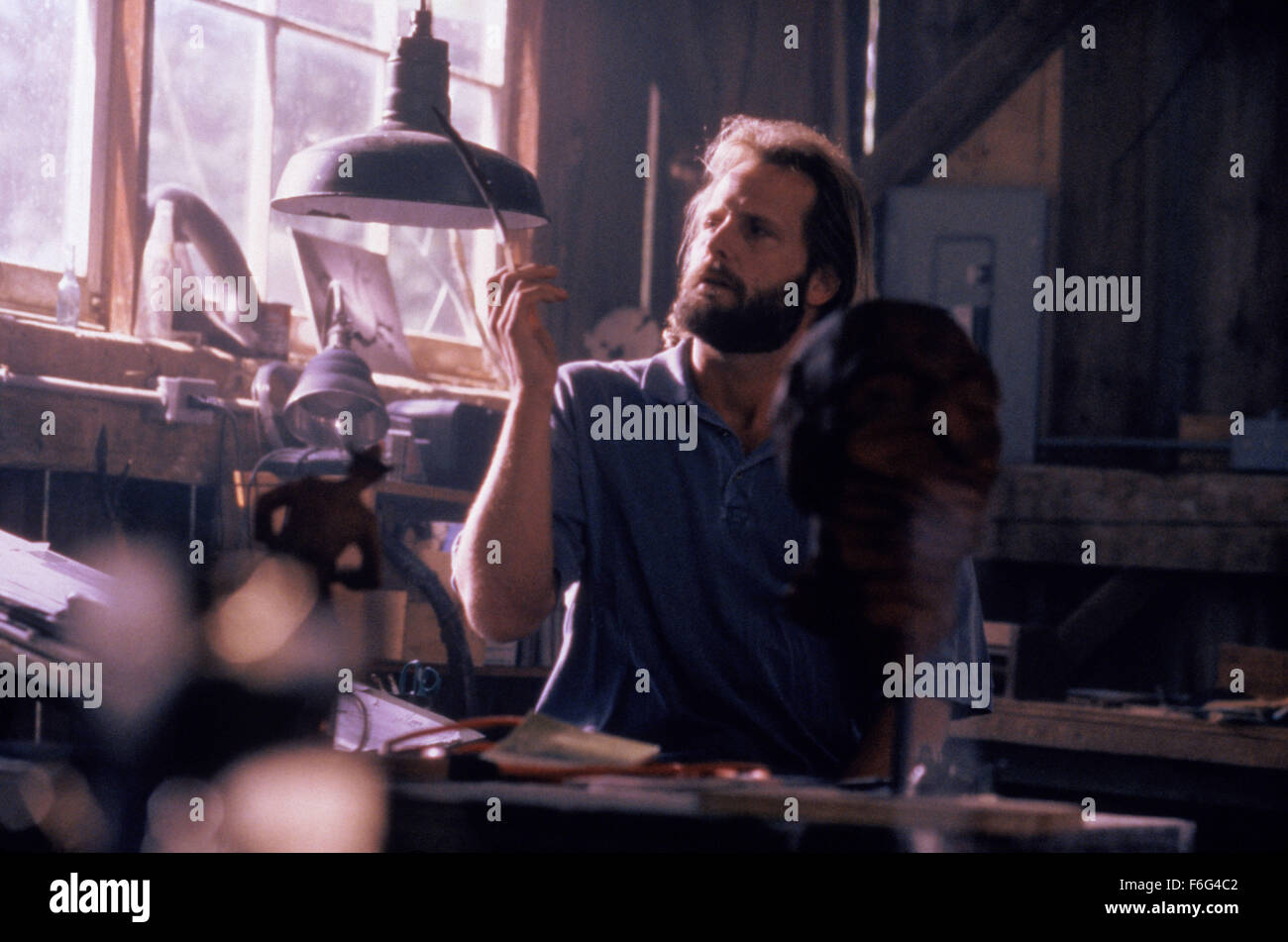 RELEASE DATE: September 13, 1996. MOVIE TITLE: Fly Away Home. STUDIO ...