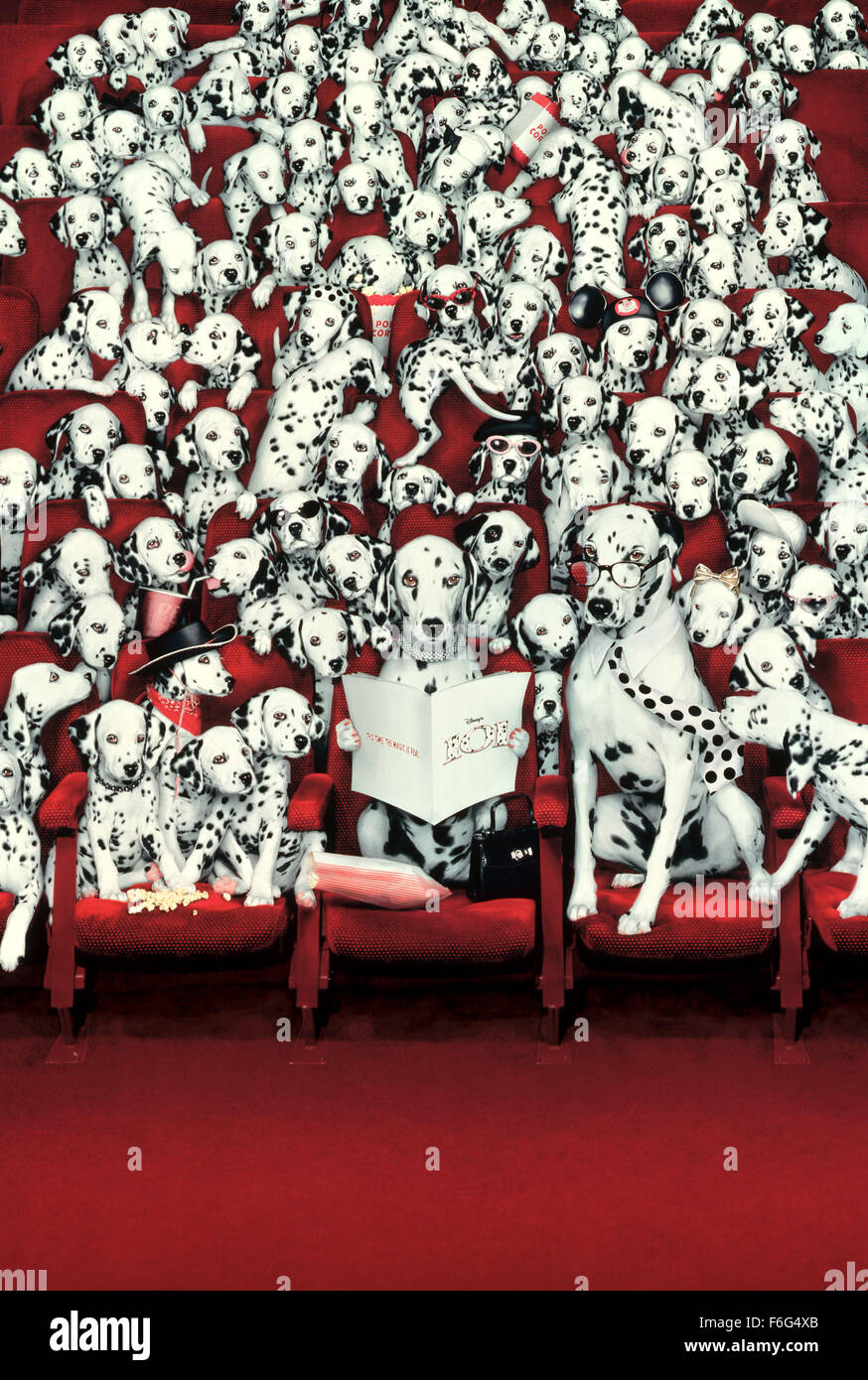 101 dalmatians hi-res stock photography and images - Alamy