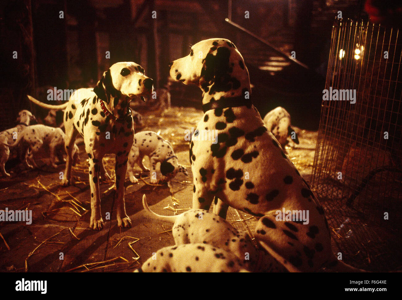 101 dalmatians hi-res stock photography and images - Alamy
