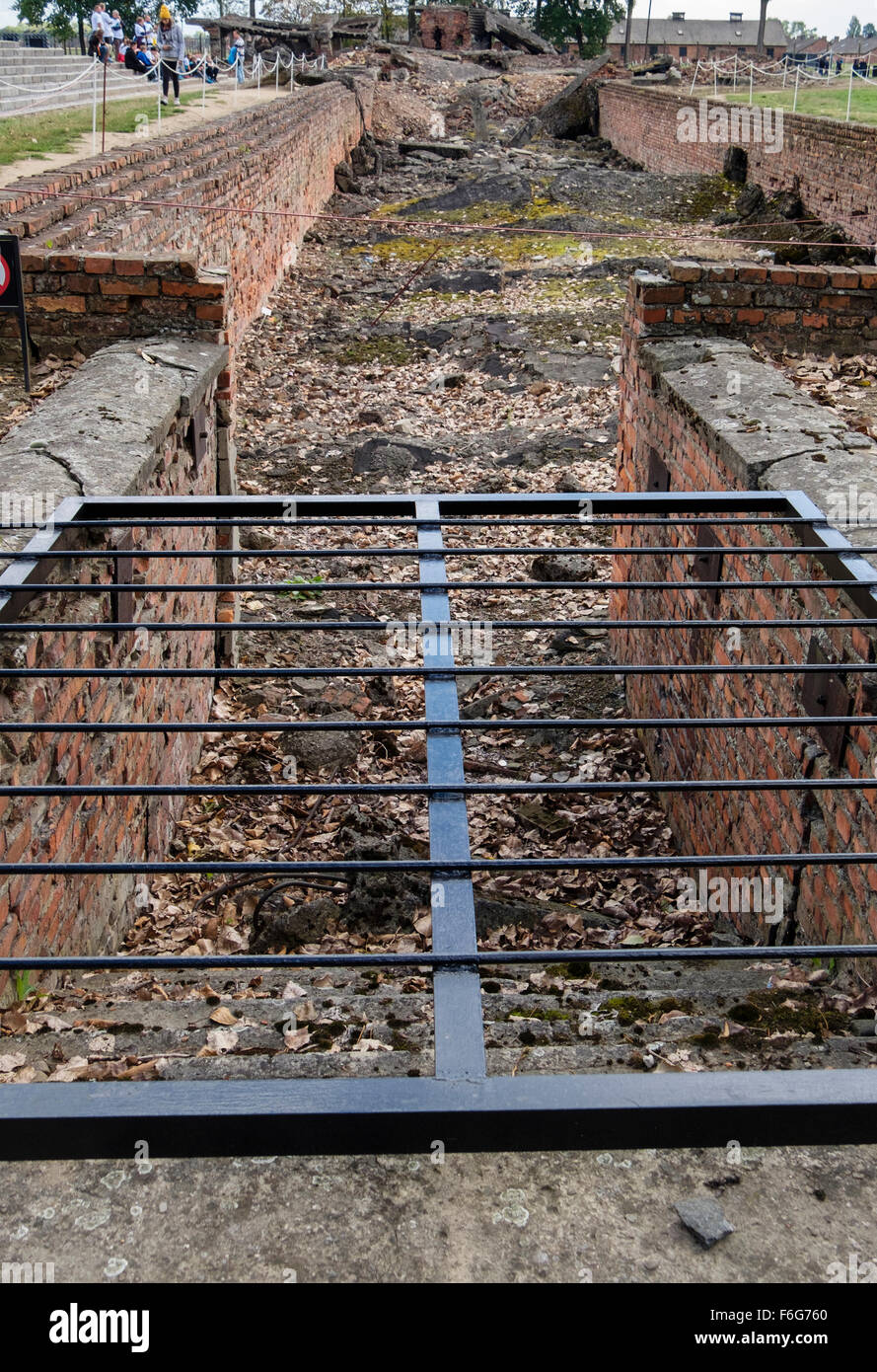 Ruined underground gas chamber at Auschwitz II-Birkenau German Nazi ...
