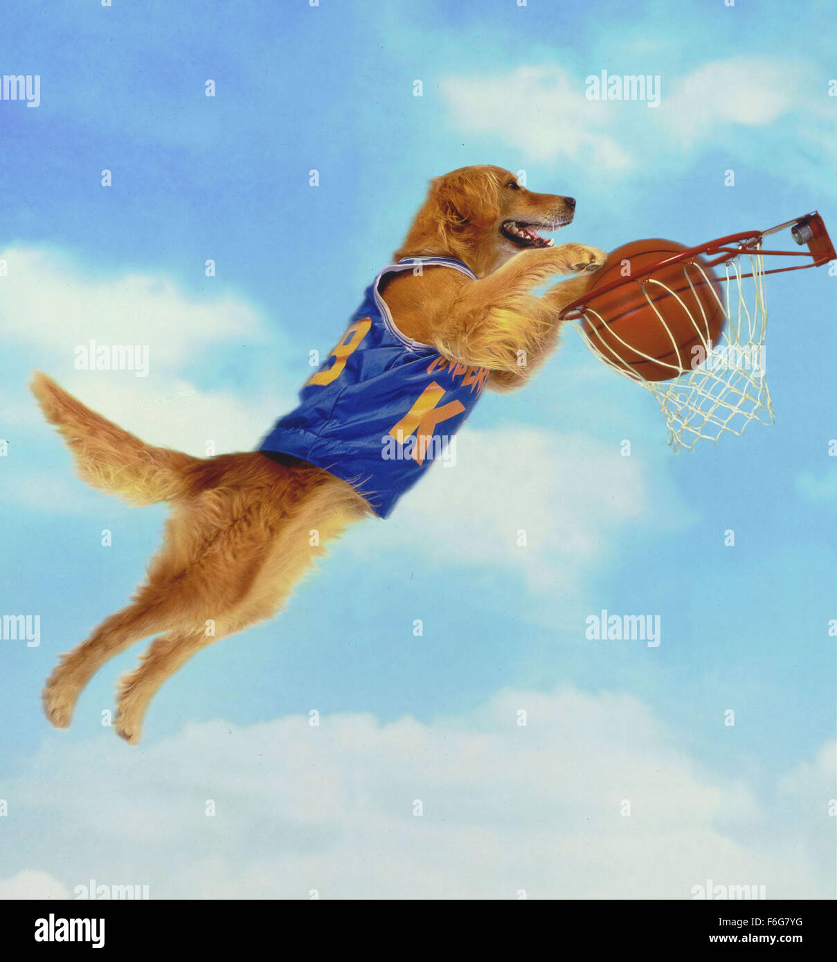 Air bud 1997 hi-res stock photography and images - Alamy