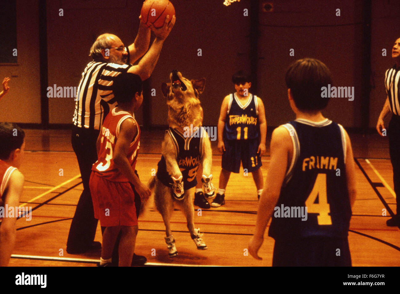 Air bud 1997 hi-res stock photography and images - Alamy