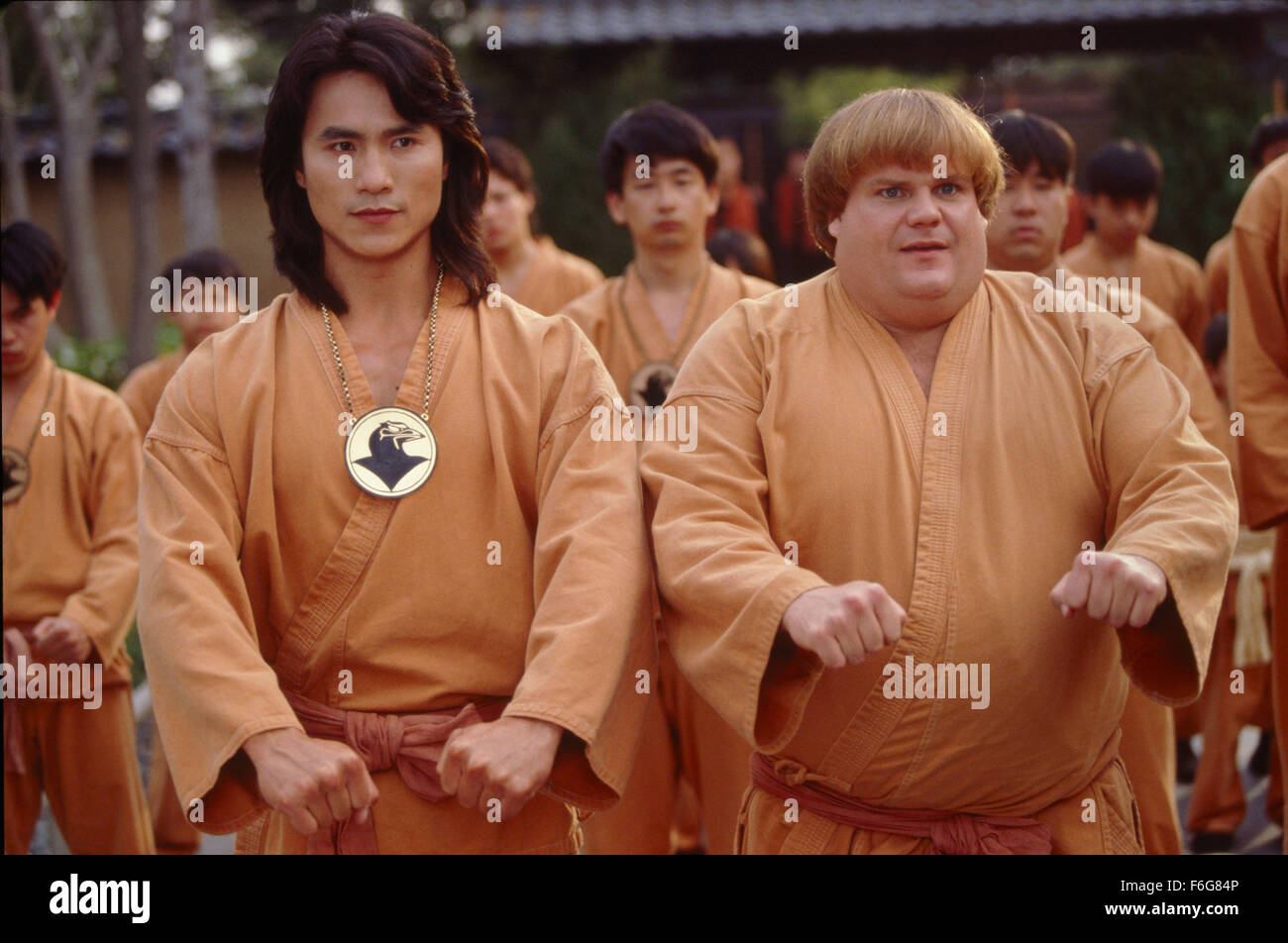 Beverly Hills Ninja Wallpaper