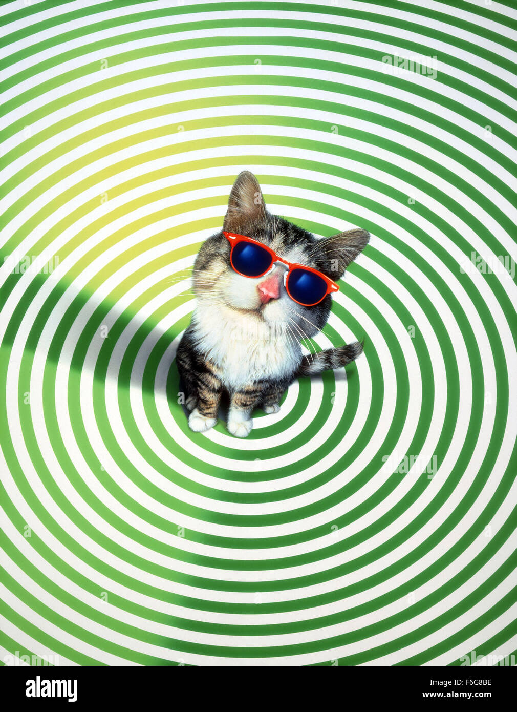 Feb 14, 1997; Aiken, SC, USA; Actress CHRISTINA RICCI stars as Patti ...