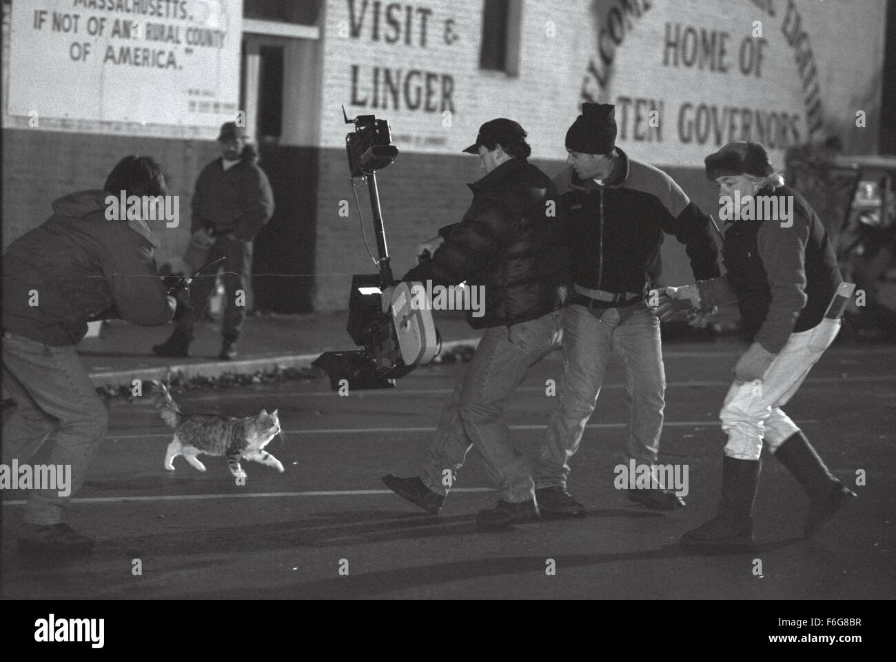 Feb 14, 1997; Aiken, SC, USA; A scene from 'That Darn Cat.' Stock Photo ...