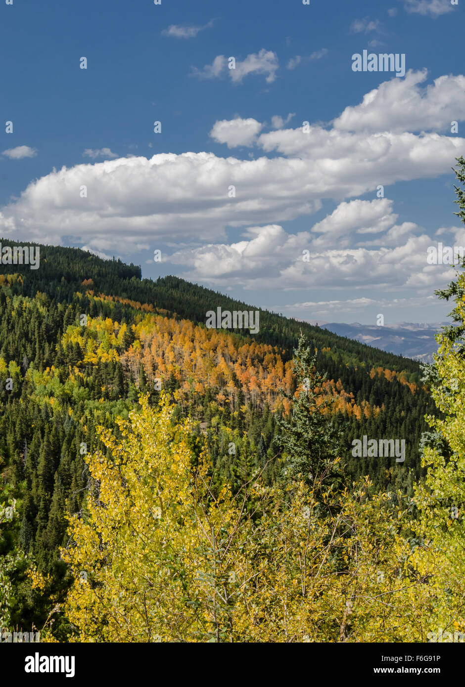 Fall settles in across the mountains of Colorado, turning aspens golden ...