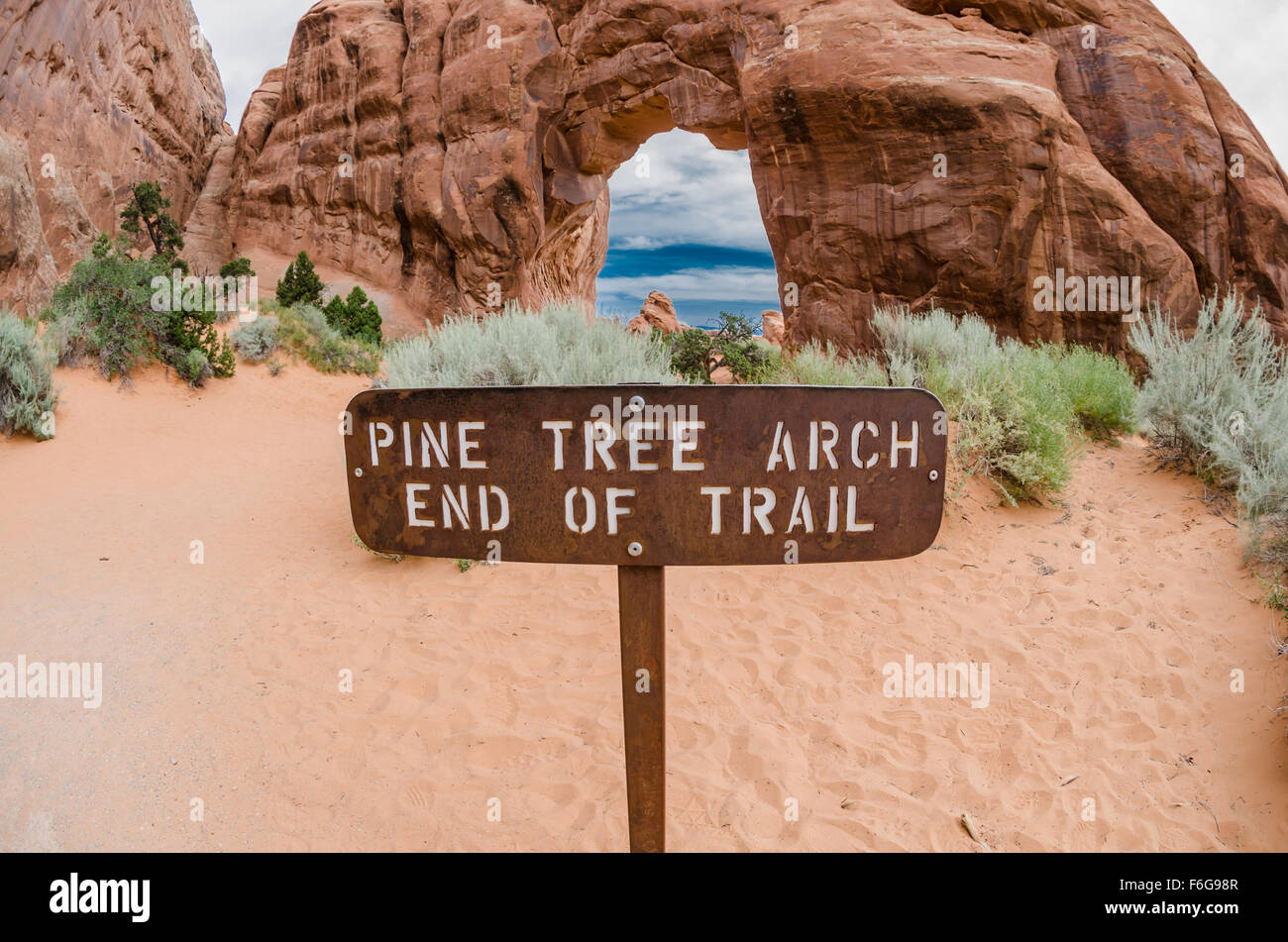 Pine tree sign hi-res stock photography and images - Alamy