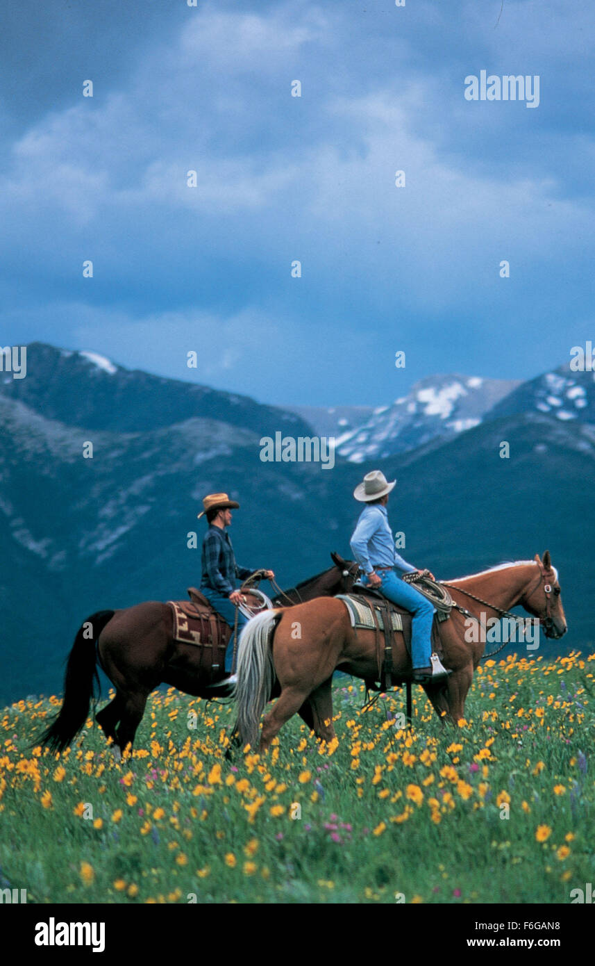 Tom booker hi-res stock photography and images - Alamy