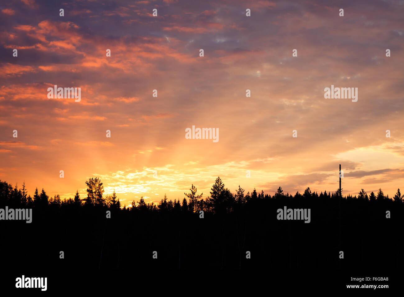 Sunrise over forest sun rays Stock Photo - Alamy