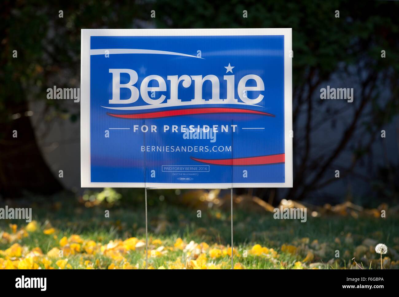 Us presidential election yard sign hi-res stock photography and images ...