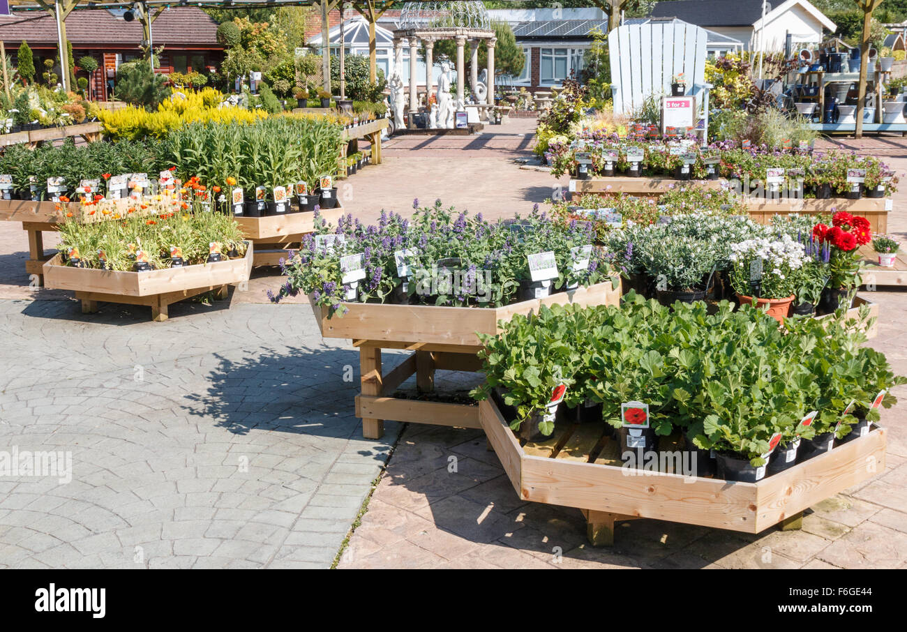 Garden centre display hi-res stock photography and images - Alamy