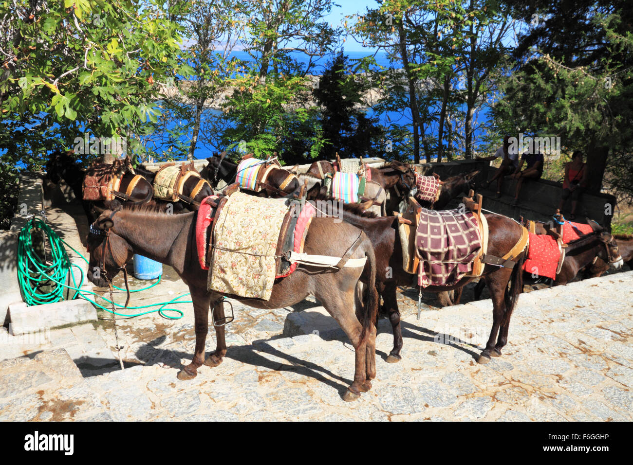 Lindos donkeys hi-res stock photography and images - Alamy