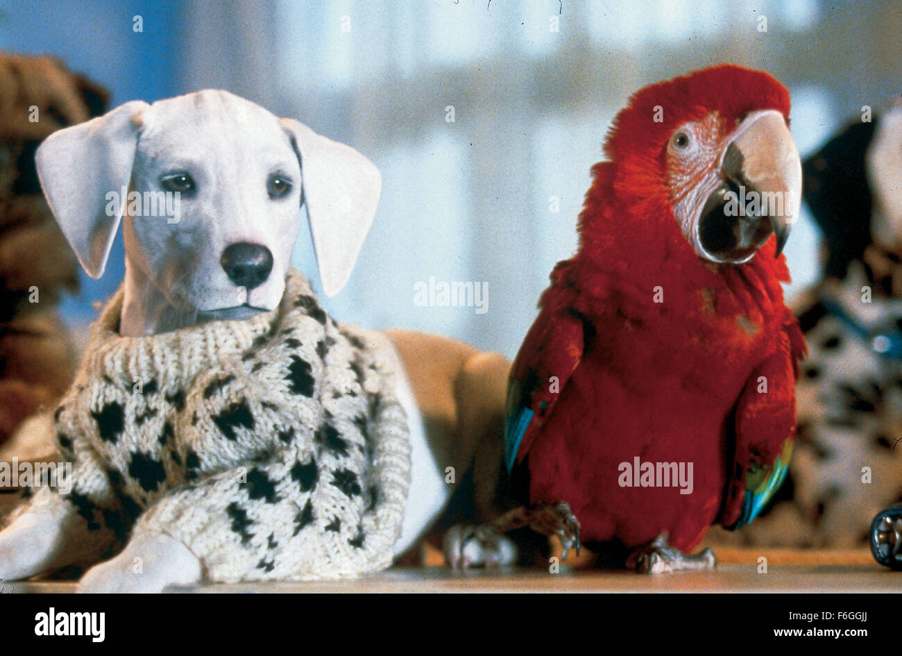 102 Dalmatians Oddball