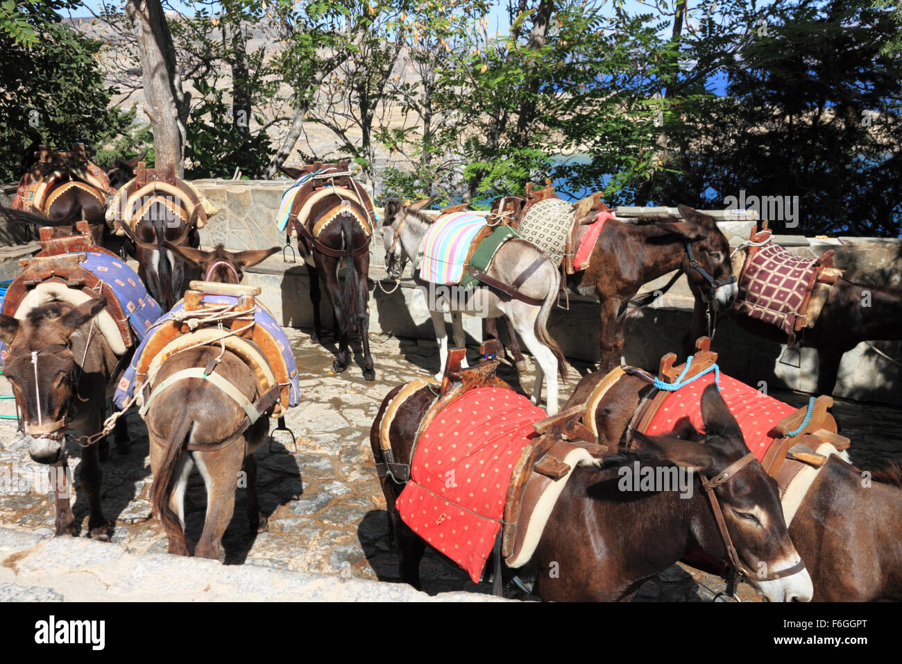 Lindos donkeys hi-res stock photography and images - Alamy