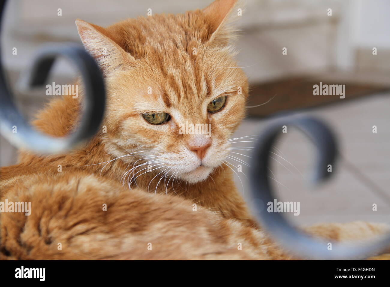Philosopher thinking hi-res stock photography and images - Alamy
