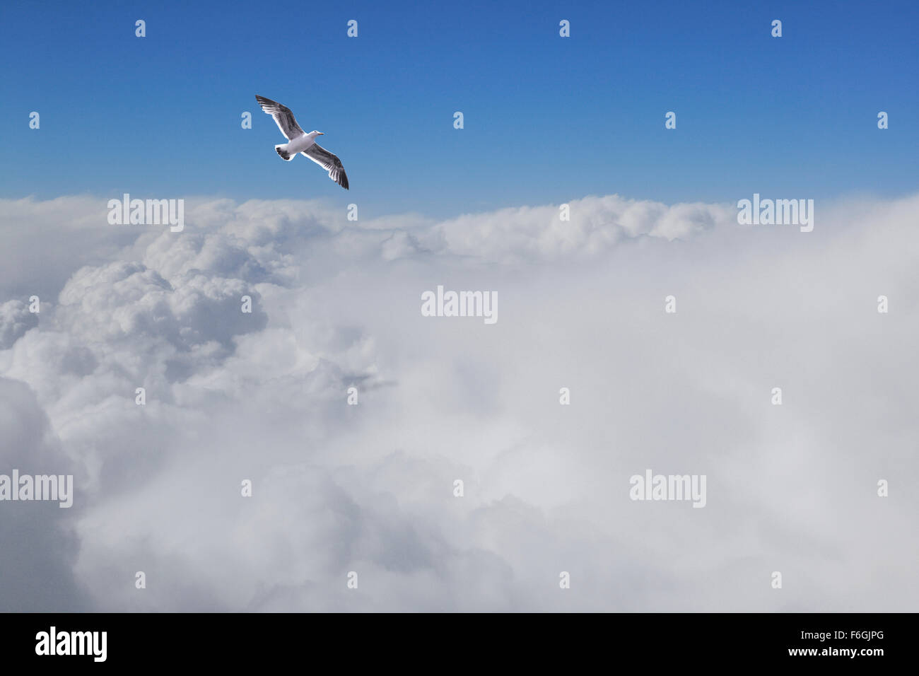 Flying above the clouds hi-res stock photography and images - Alamy