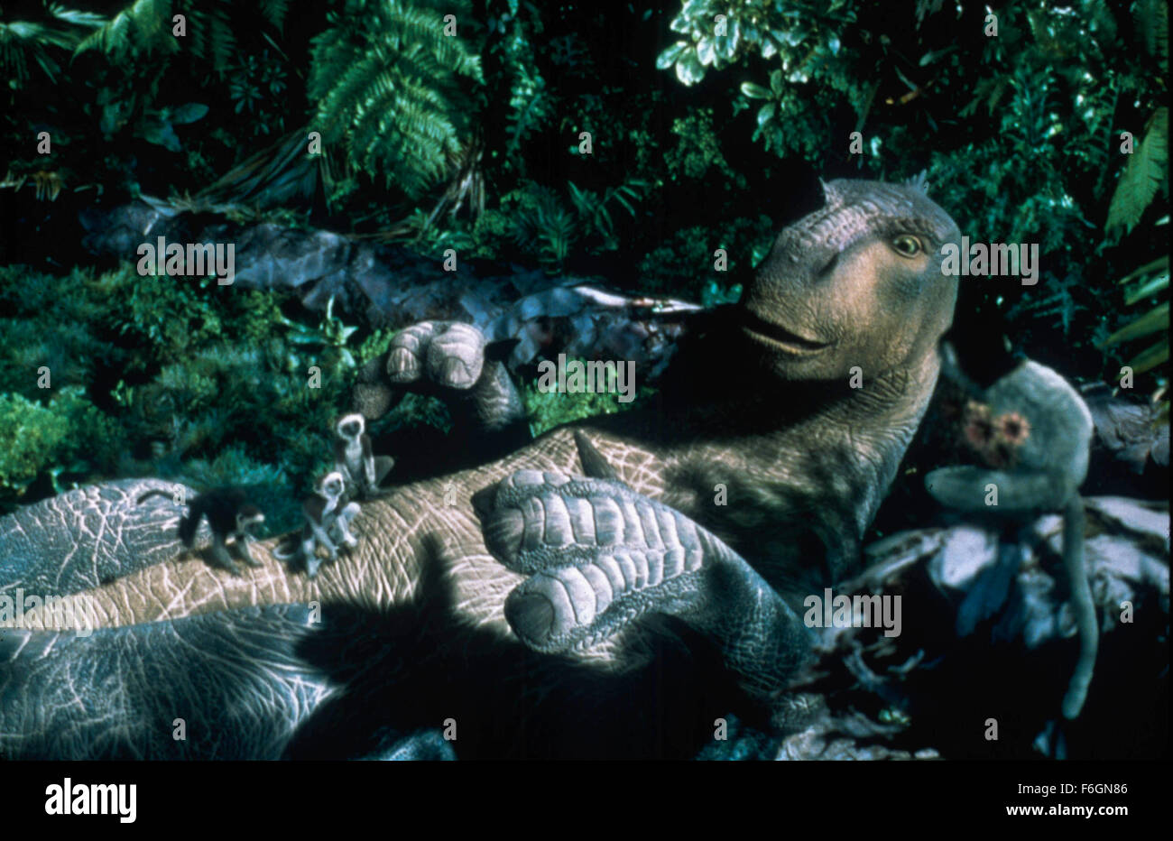 Lemurs Pictures High Resolution Stock Photography and Images - Alamy