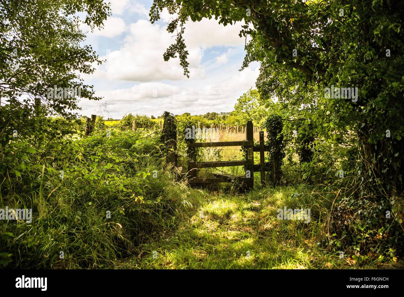 Wooden gate along forest hi-res stock photography and images - Alamy