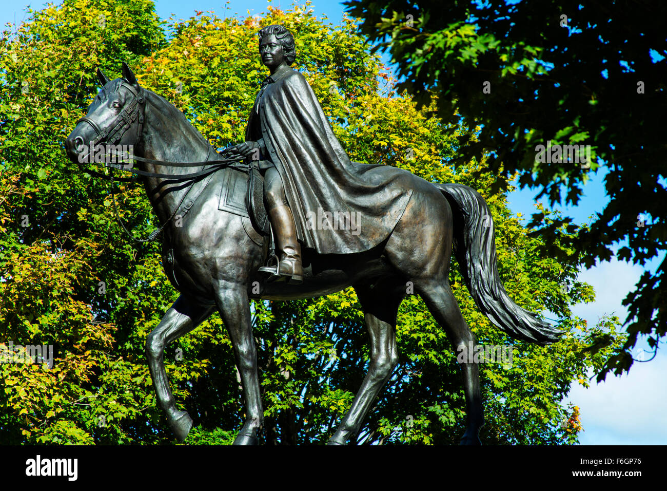 Jack harman hi-res stock photography and images - Alamy