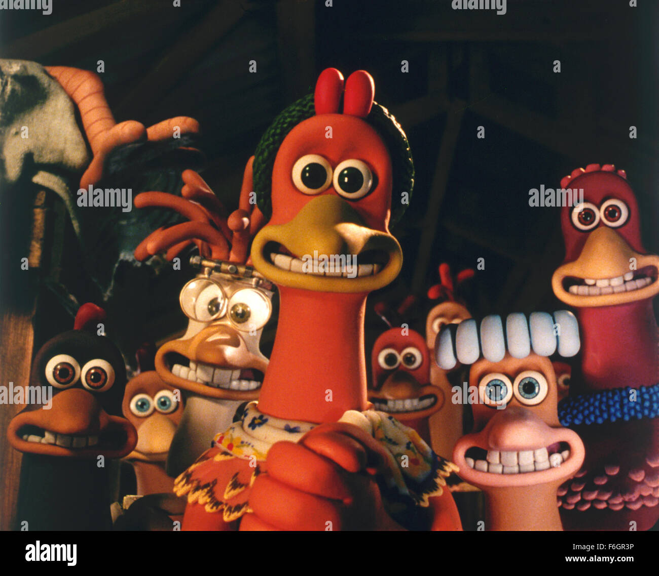 Chicken run 2000 hi-res stock photography and images - Alamy